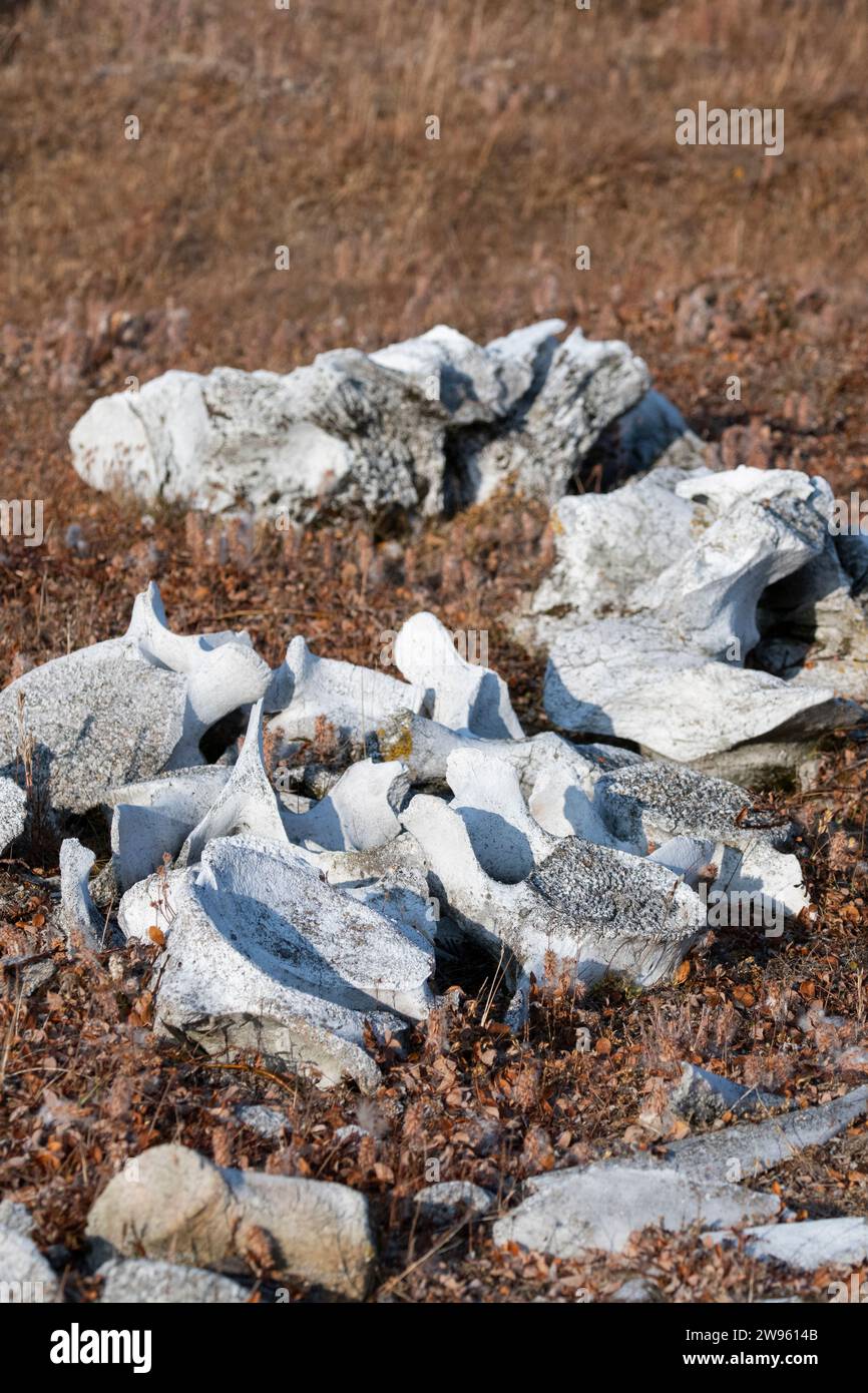 Inuit dwelling canada hi-res stock photography and images - Alamy