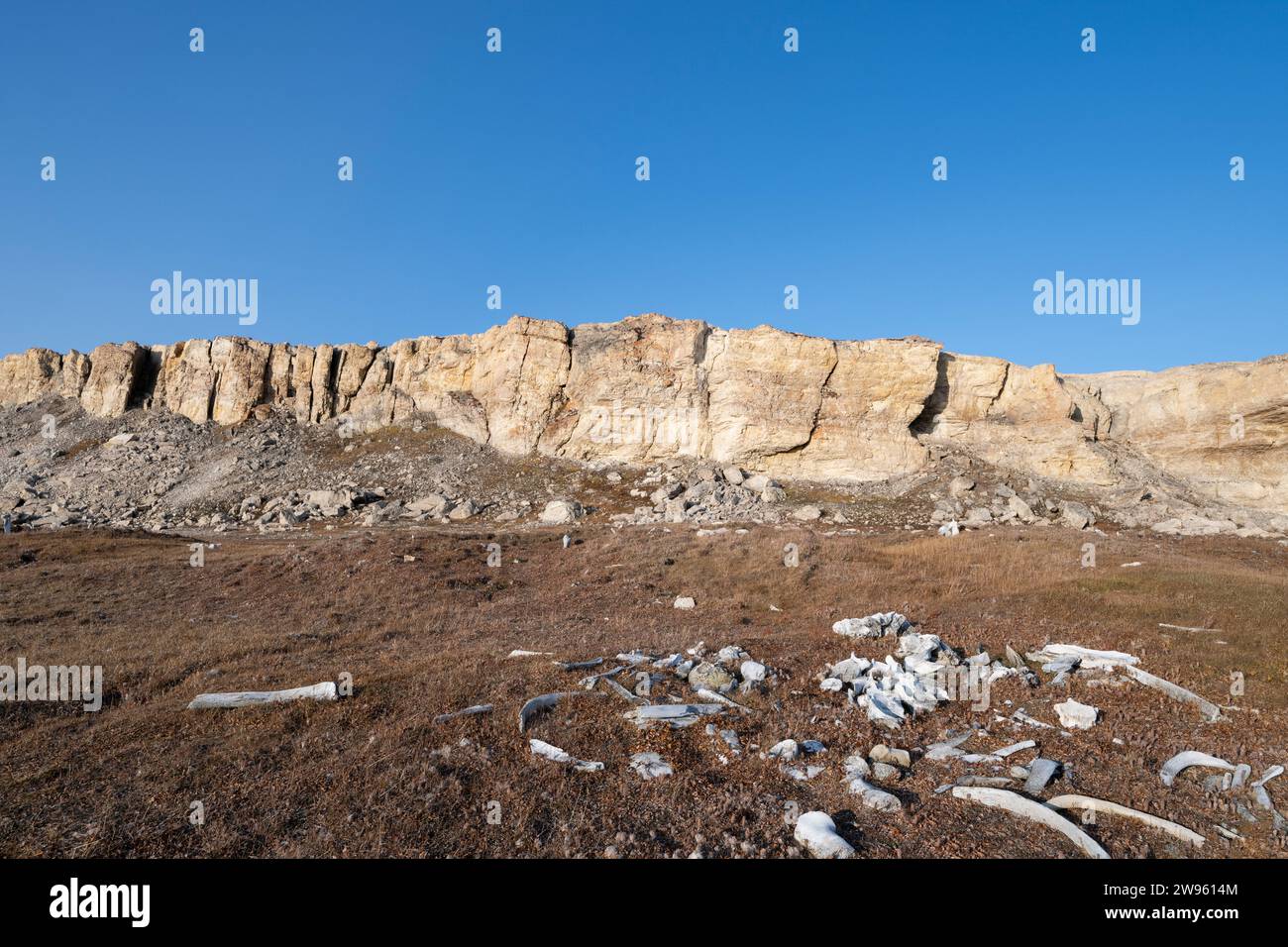 Canada, Nunavut, Somerset Island area. Historic Inuit community of ...