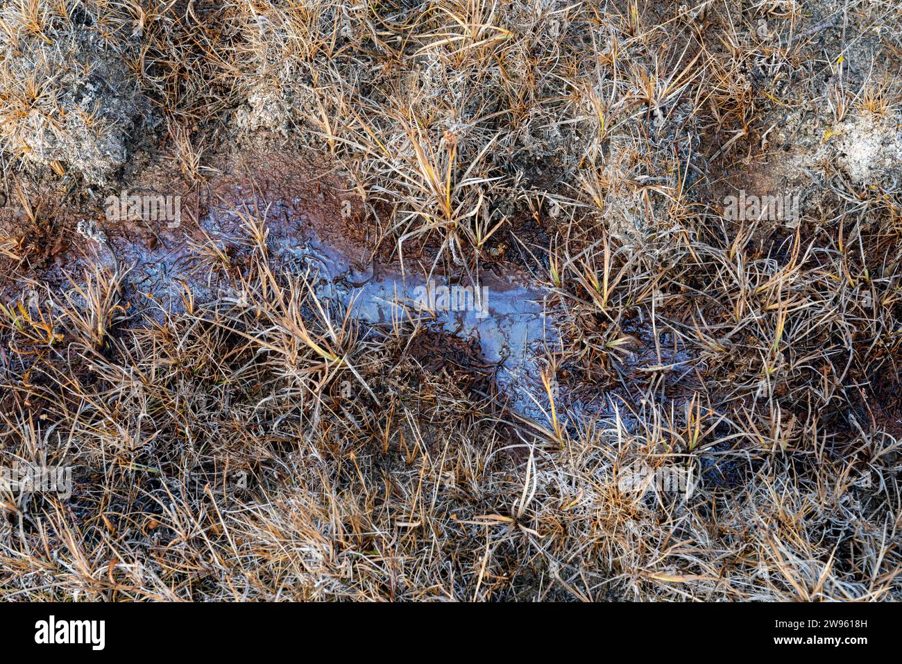 Canada, Nunavut, Edinburgh Island. An oily looking water surface is a ...