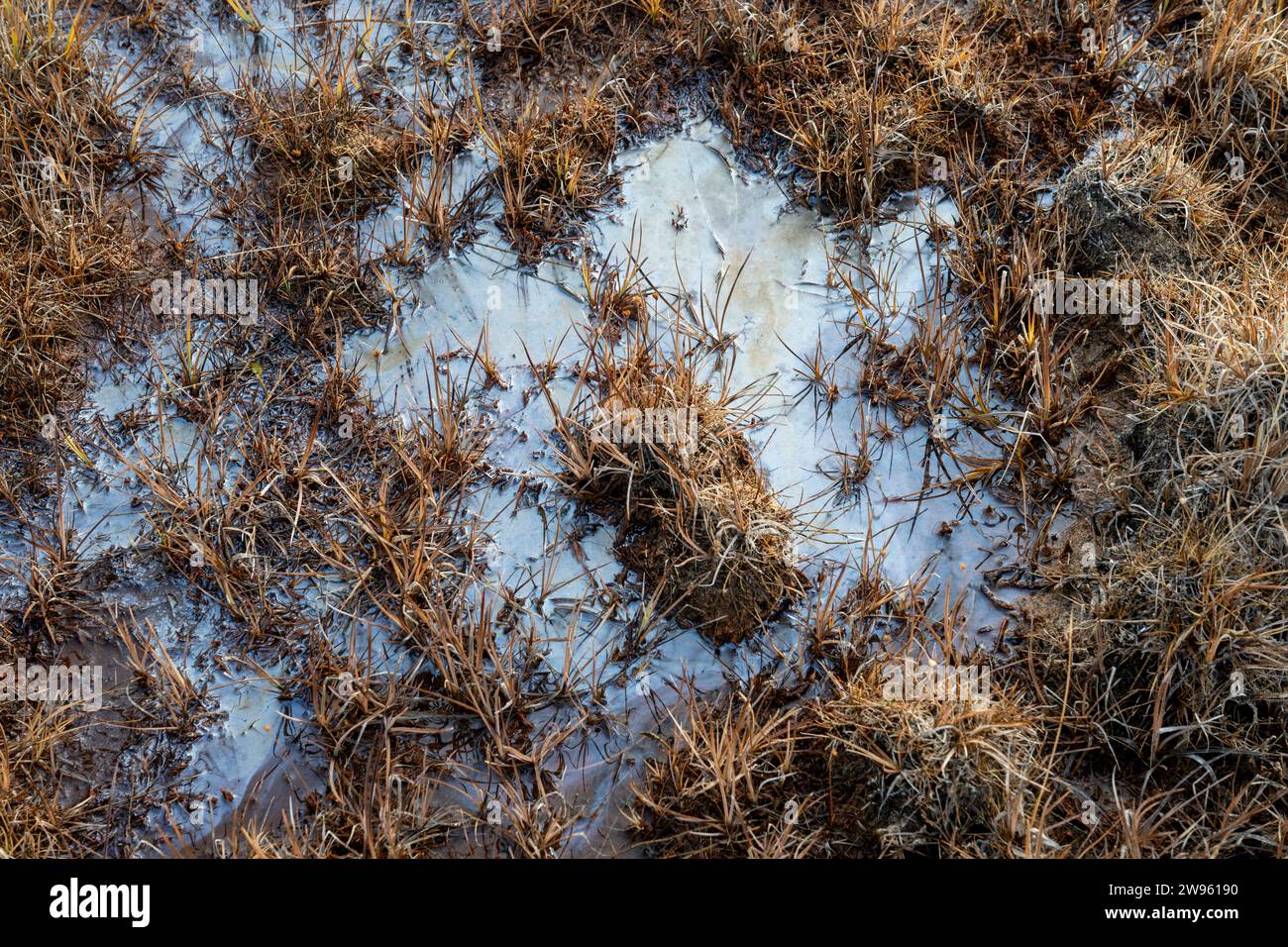 Canada, Nunavut, Edinburgh Island. An oily looking water surface is a ...