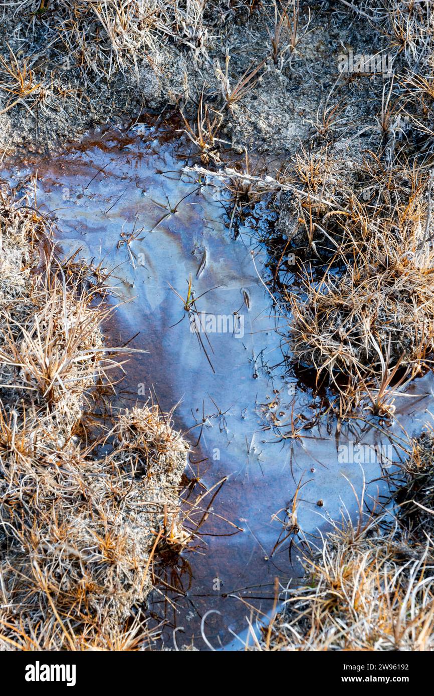 Canada, Nunavut, Edinburgh Island. An oily looking water surface is a ...
