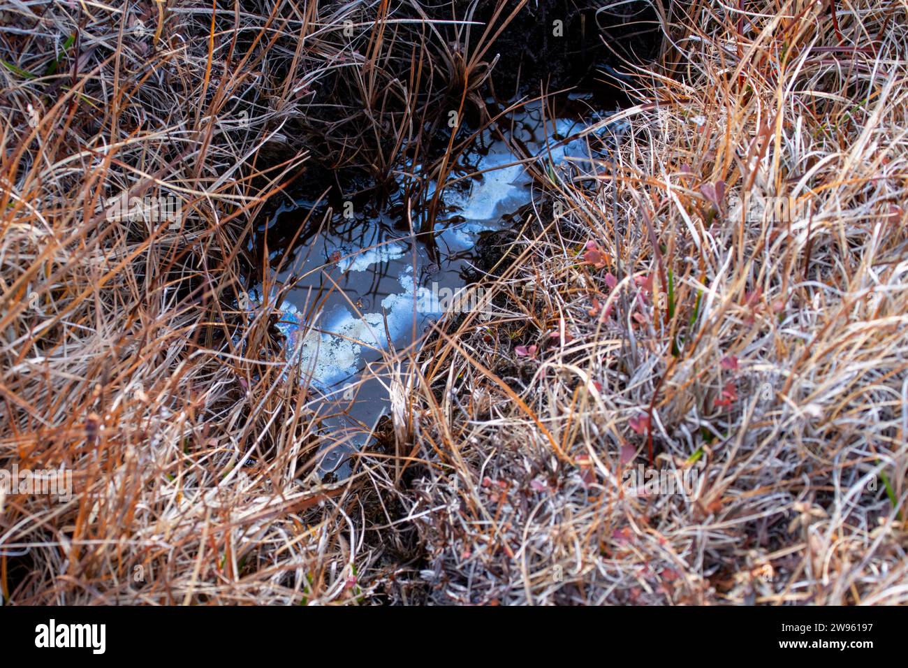 Canada, Nunavut, Edinburgh Island. An oily looking water surface is a ...