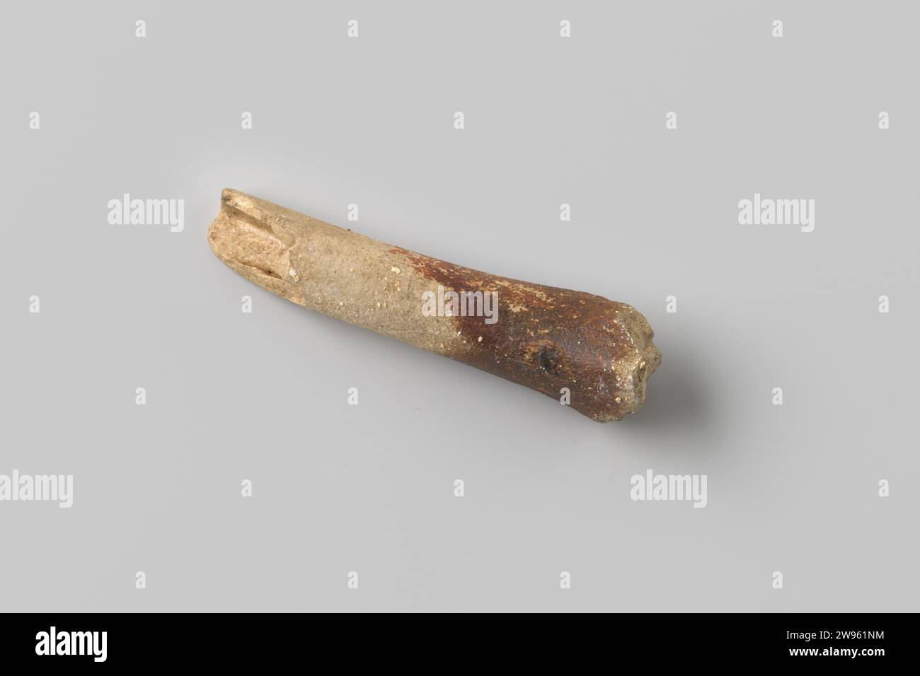 Fragment Varkensbot from the wreck of the East Indians Hollandia, 1700 ...