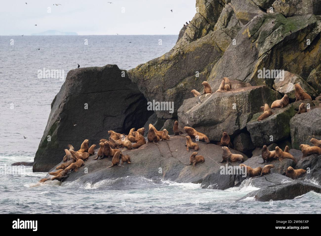 Diomede islands bering sea hi-res stock photography and images - Alamy
