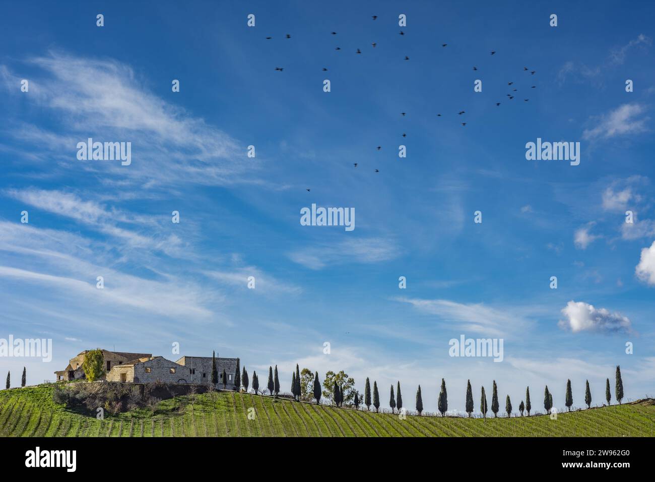 Agricultural italy hi-res stock photography and images - Alamy