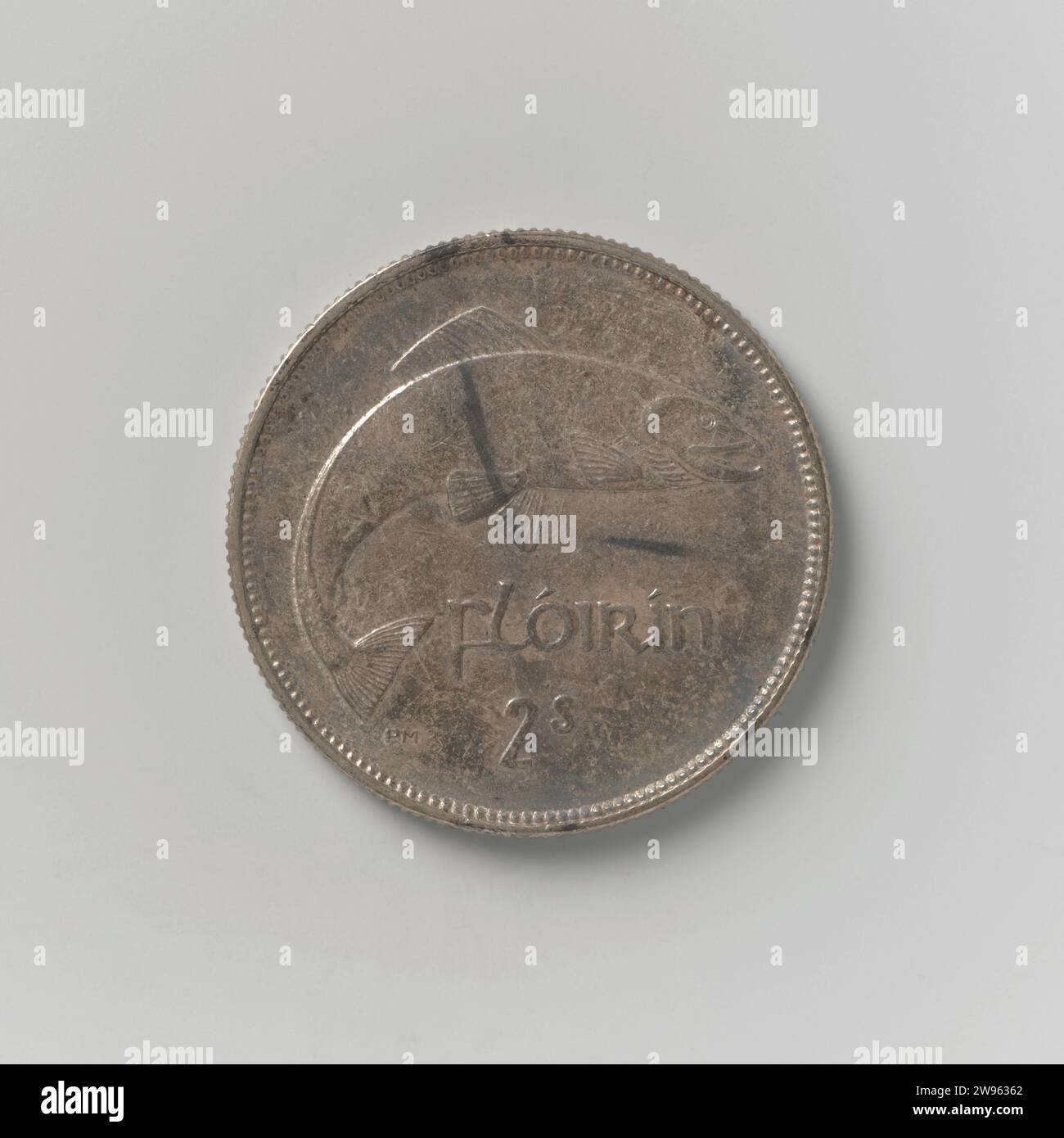 Harp fish hi-res stock photography and images - Alamy