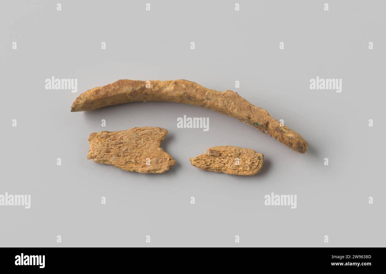 Fragments animal rib from the wreck of the East Indians Hollandia, 1700 ...
