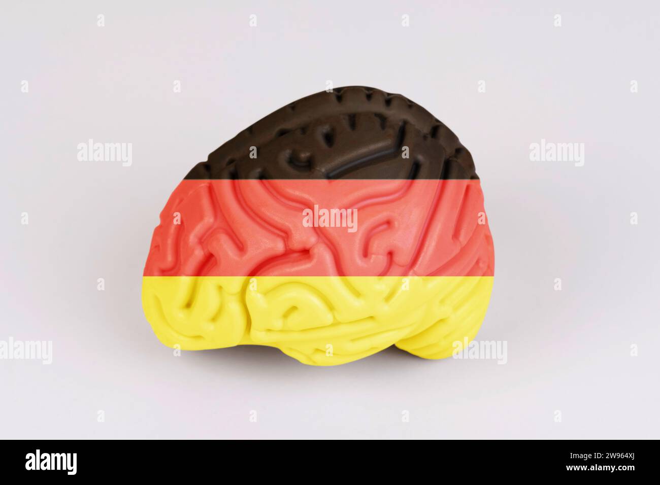 On a white background, a model of the brain with a picture of a flag ...