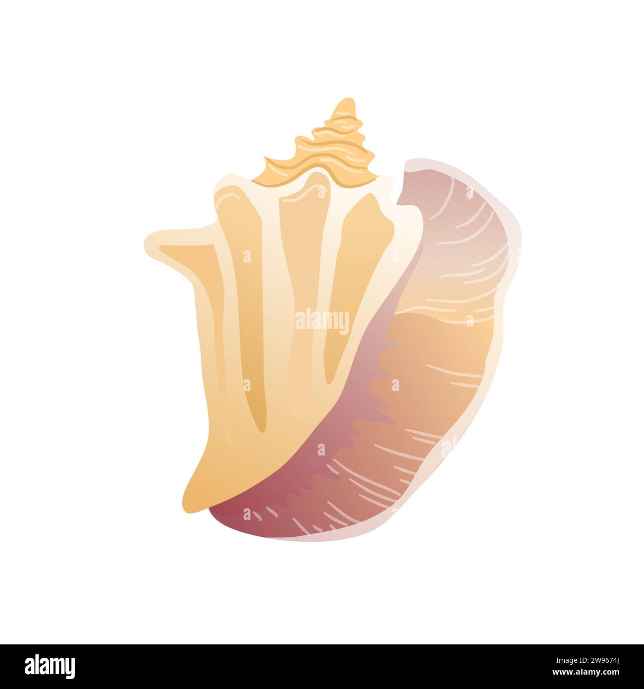 seashell icon. Colorful shellfish isolated on white background Stock ...