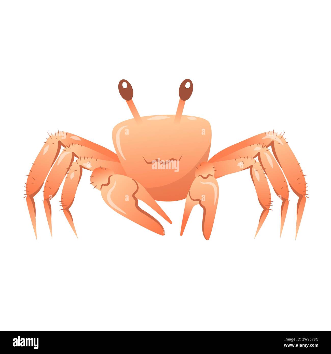 cute crab raising its claws isolated on a white background Stock Vector ...