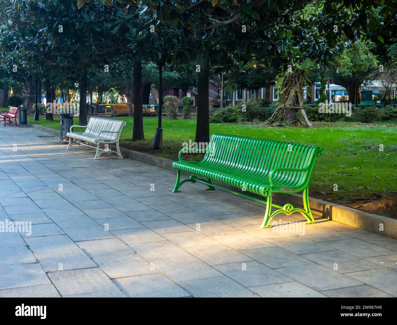 Colored benches in the park. Park infrastructure. Greenery in December ...