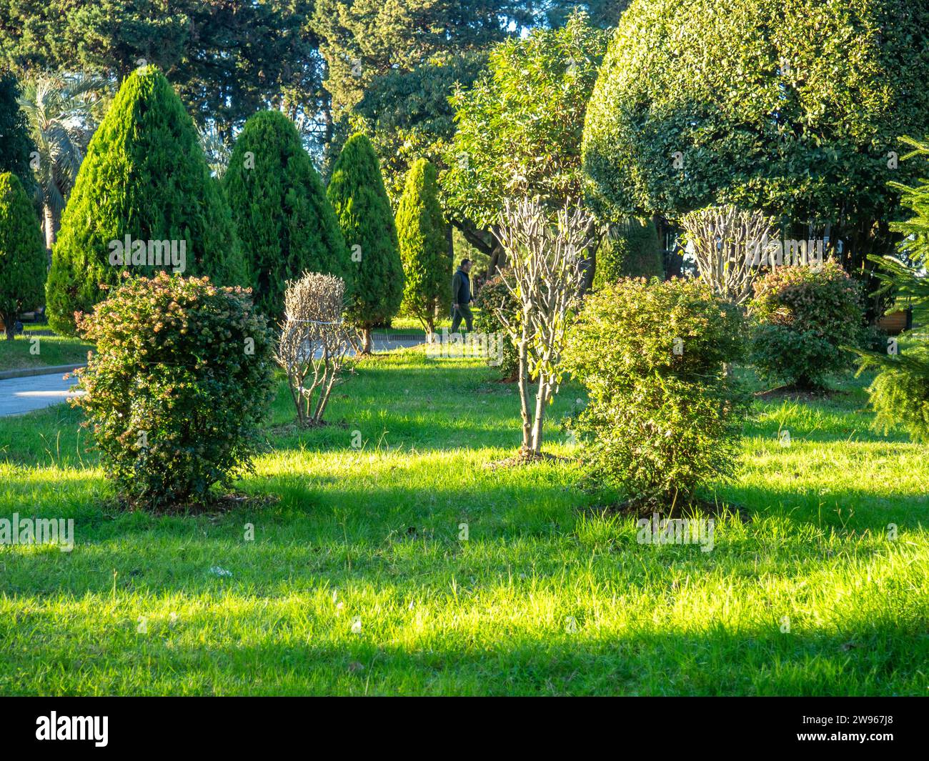Batumi parks in December. Green park in winter. Well maintained landing ...
