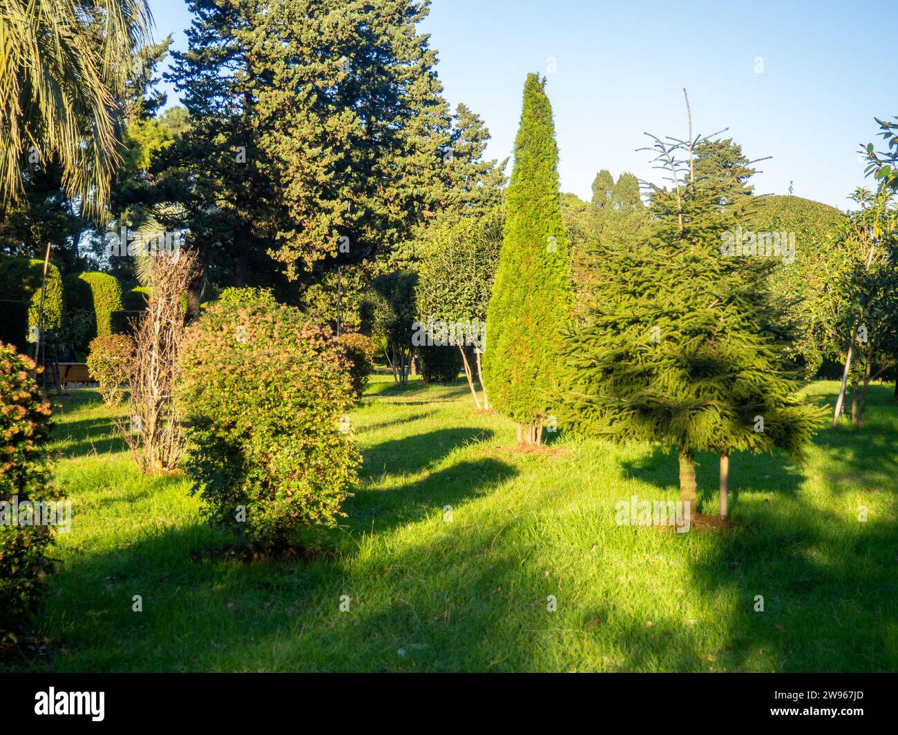 Batumi parks in December. Green park in winter. Well maintained landing ...