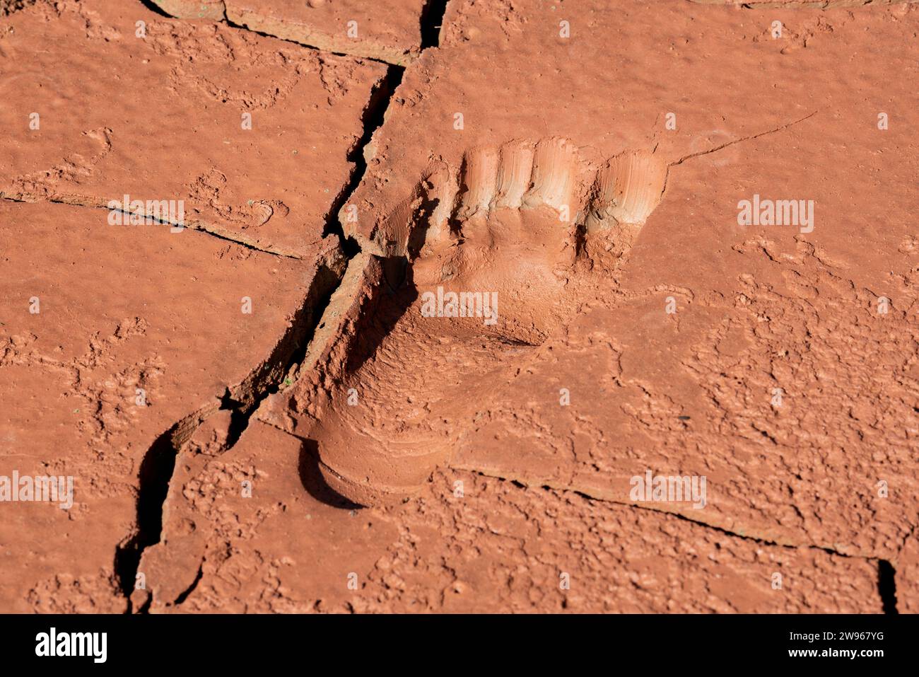 Human footprint in silt along the Green River in Canyonlands National ...