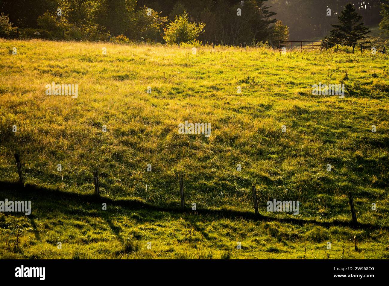 Farm field with fence running through it Stock Photo - Alamy