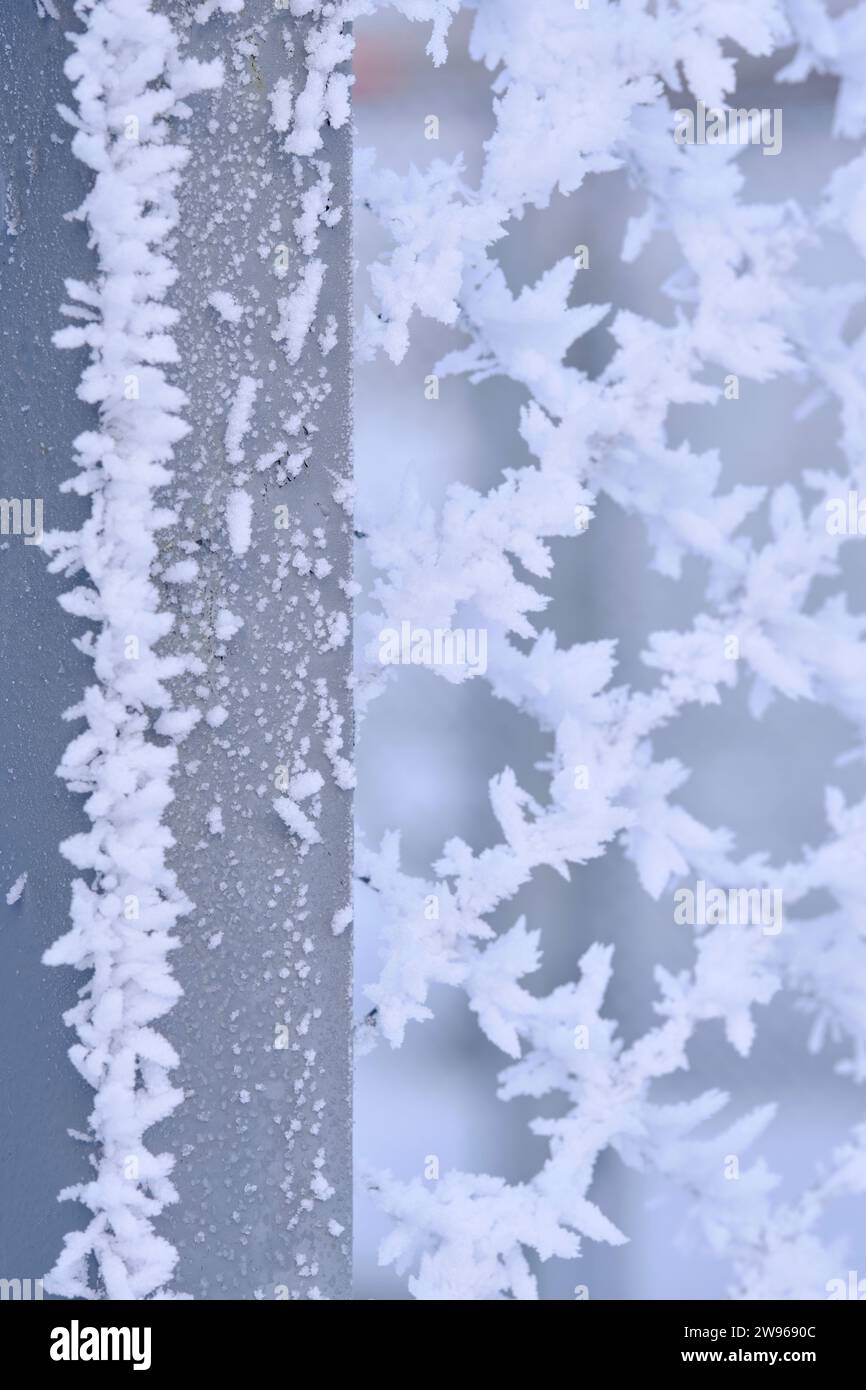 Mesh of chain link covered with frost after severe frost. Macro ...