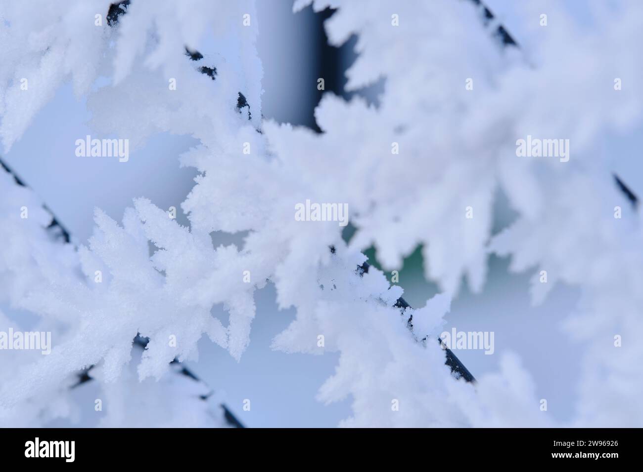 Mesh of chain link covered with frost after severe frost. Macro photography Stock Photo - Alamy