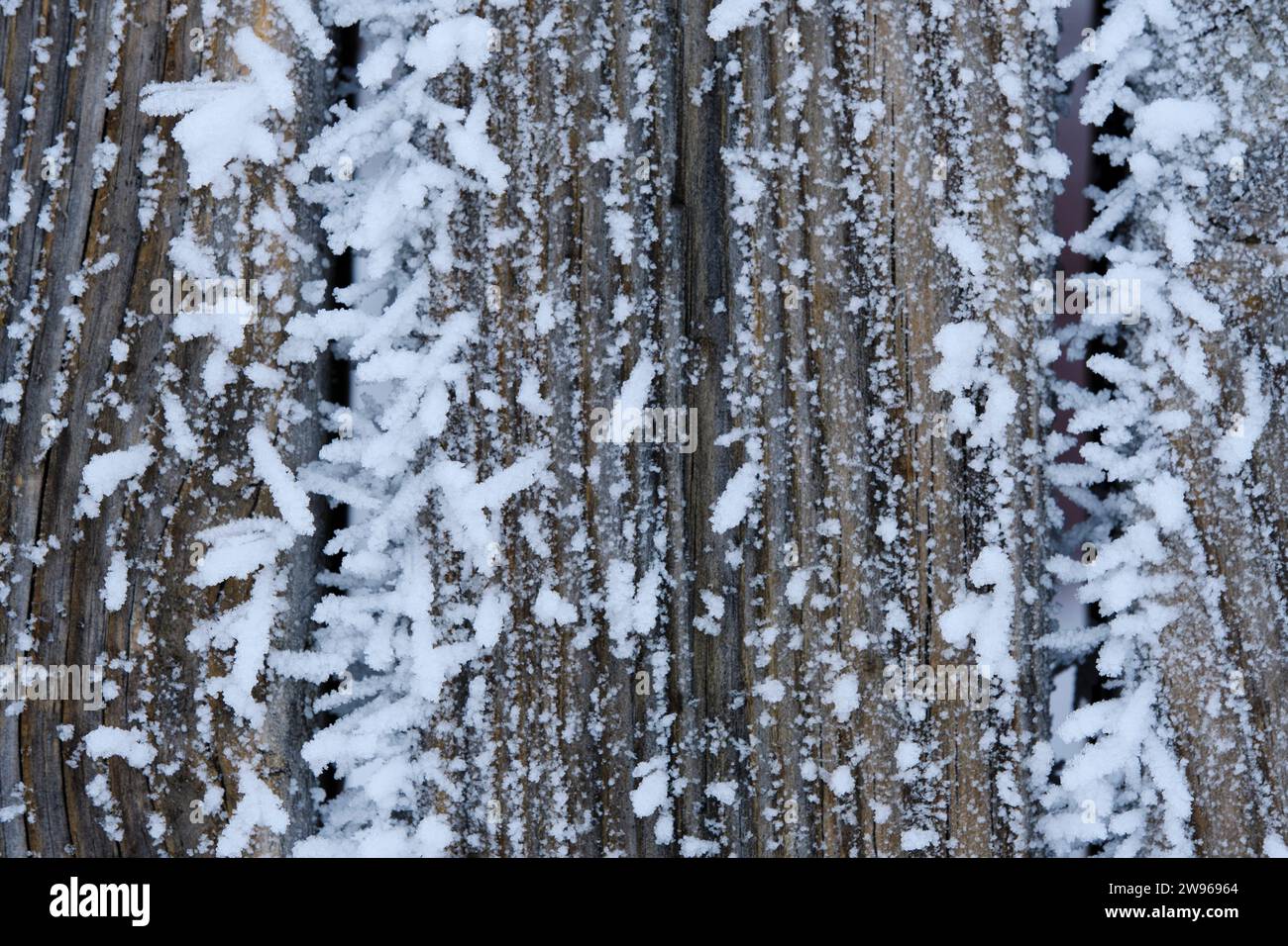 Old boards are covered with snow crystals and frost after severe frosts ...