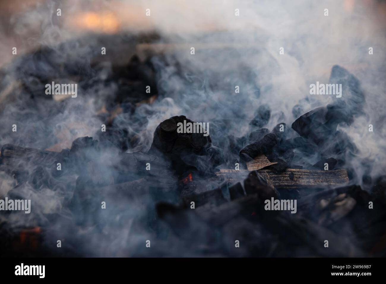 After a forest fire, smoke from still burning wood and coal Stock Photo ...