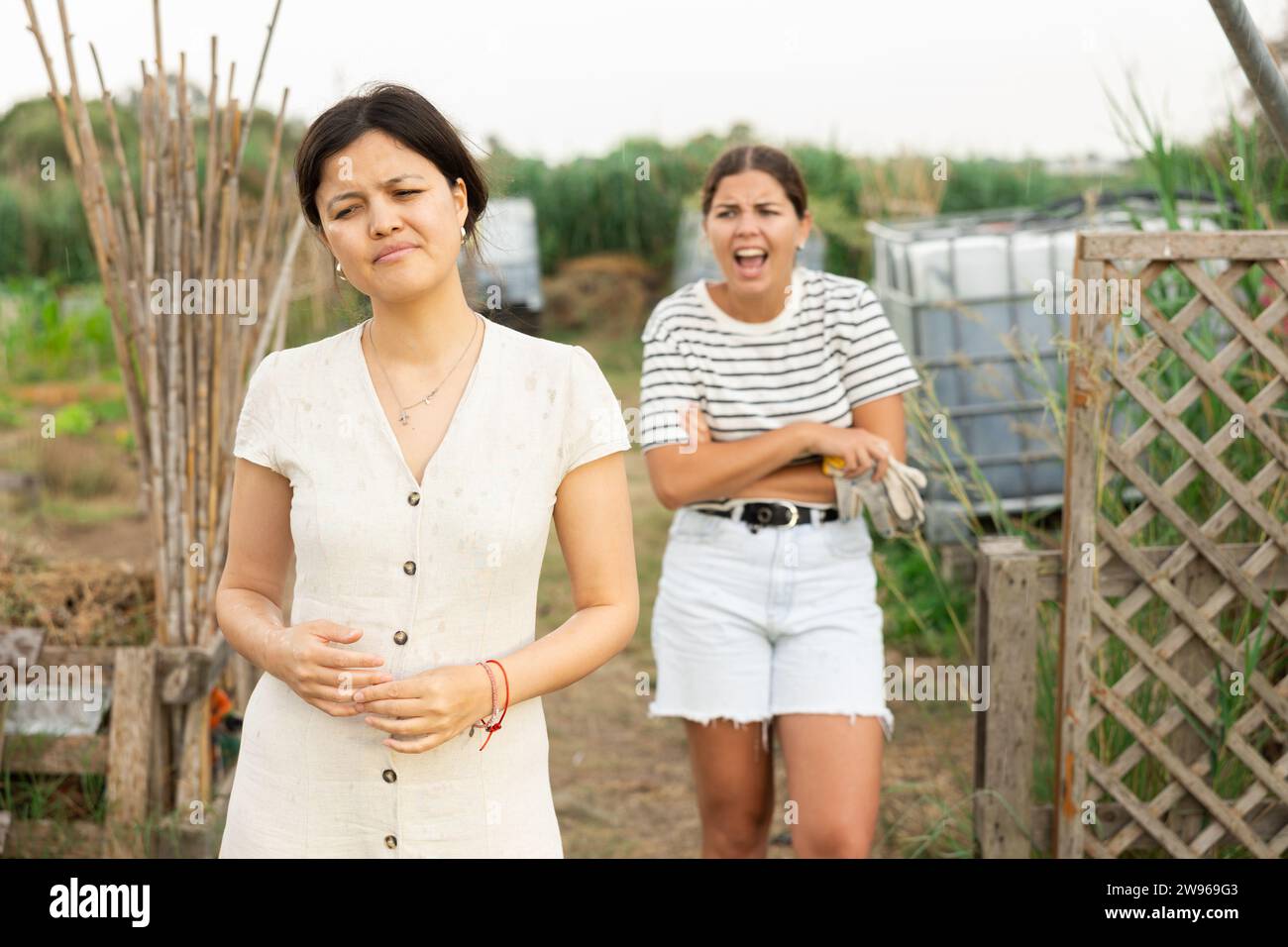Two girls European and Asian quarreling standing at vegetable garden ...