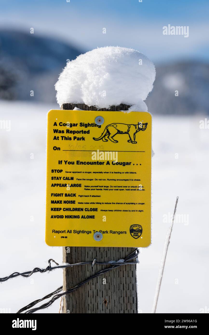 Cougar sighting sign, Iwetemlaykin State Heritage Site, Oregon Stock ... Cougar sighting sign, Iwetemlaykin State Heritage Site, Oregon Stock ...