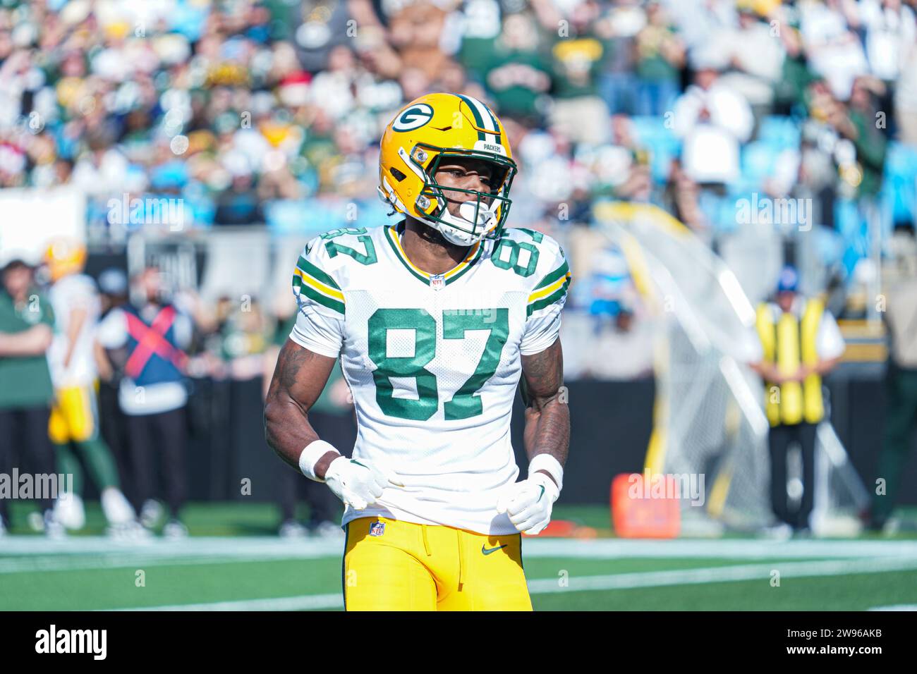 Romeo doubs packers hi-res stock photography and images - Alamy