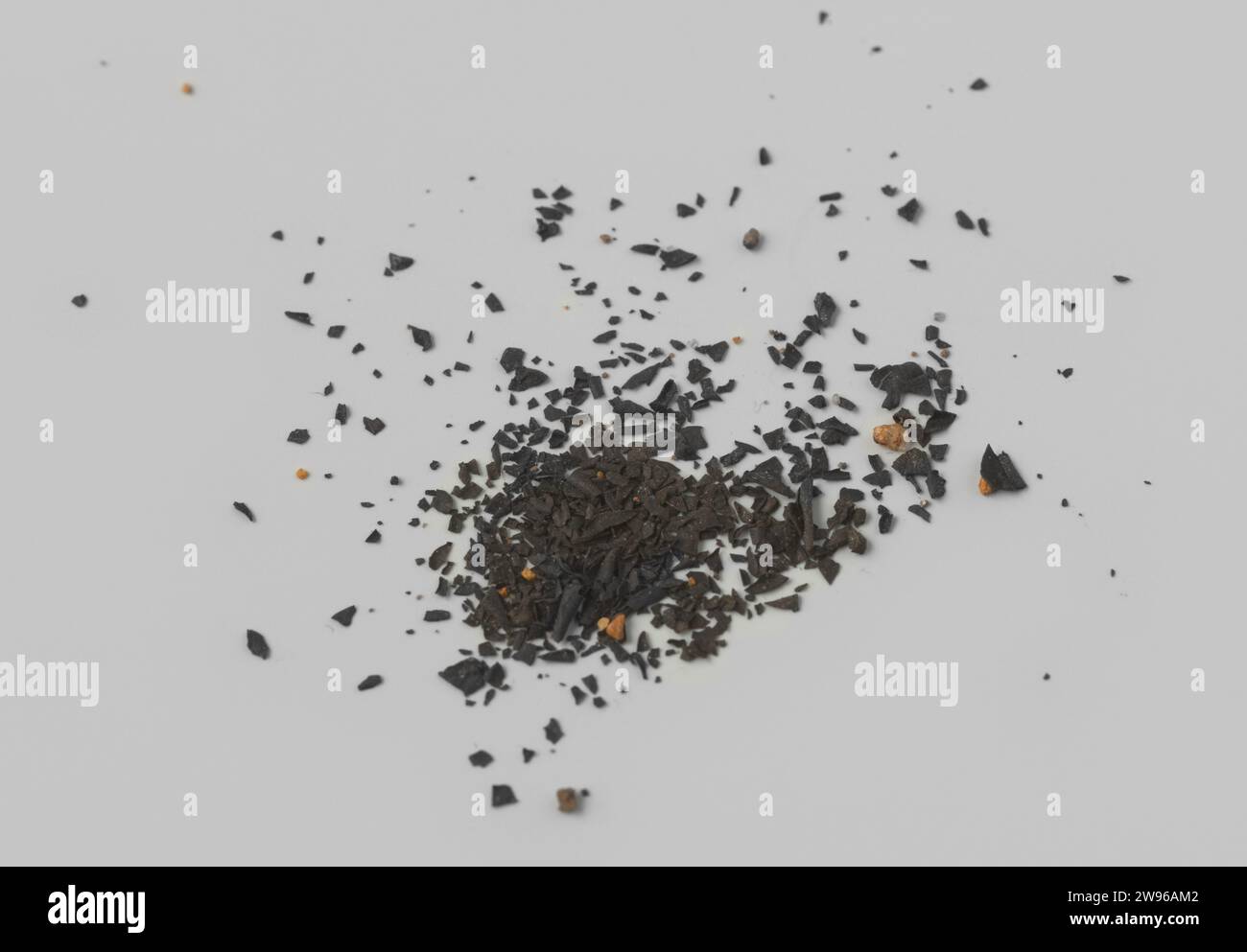 Buckwheat seeds from the wreck of the East Indians Hollandia, 1700 - in ...