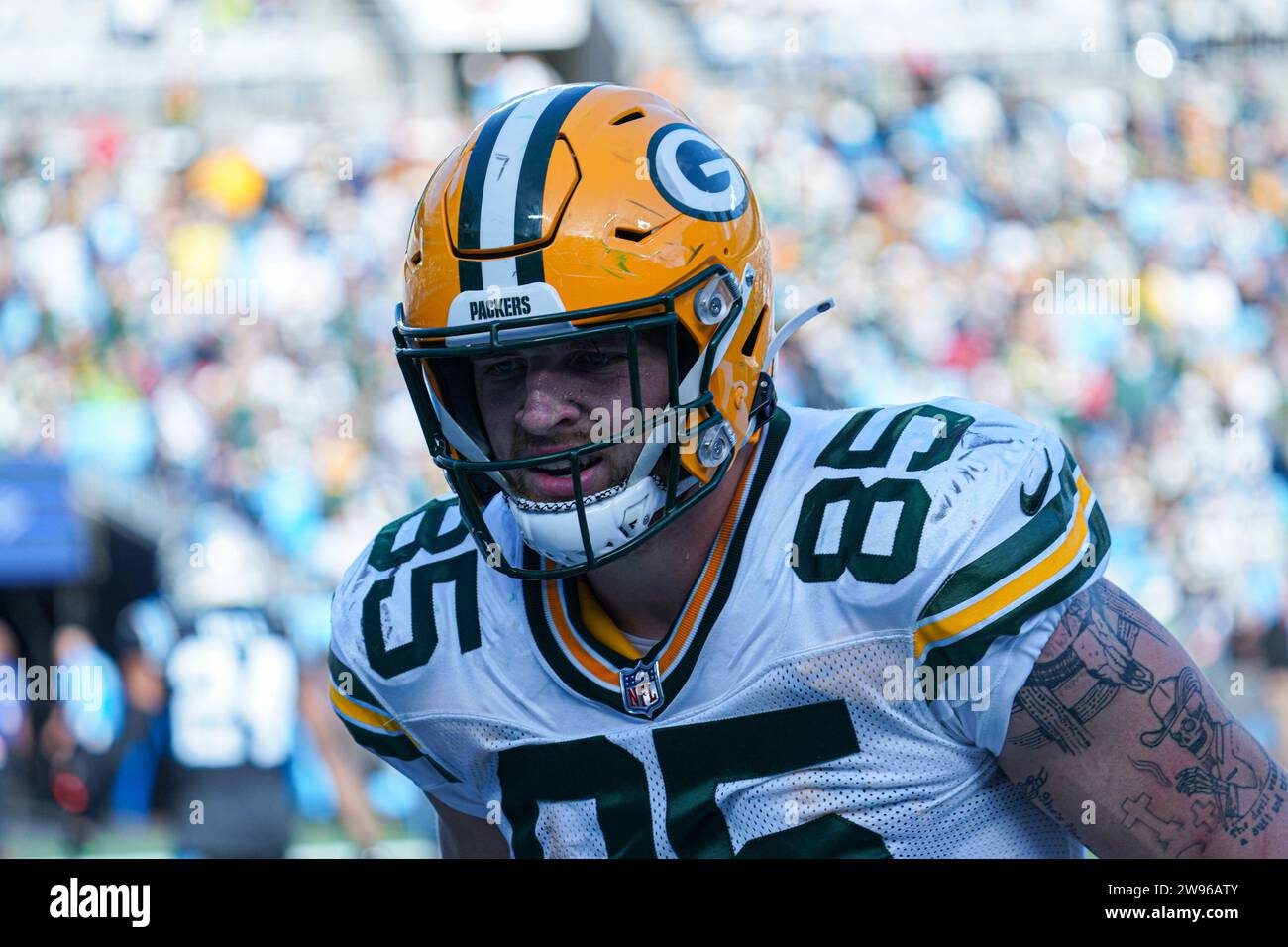 Charlotte, North Carolina, USA, December 24, 2023, Green Bay Packers ...