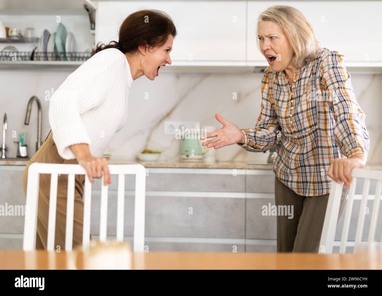Irritated mature and middle-aged female family members disputing ...
