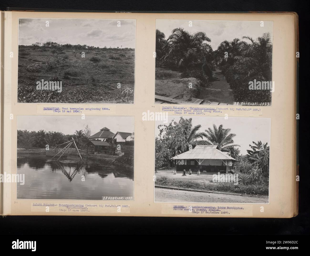 Plantations and facilities, 1936-1937, Shibaya, 1936 - 1937 photograph ...