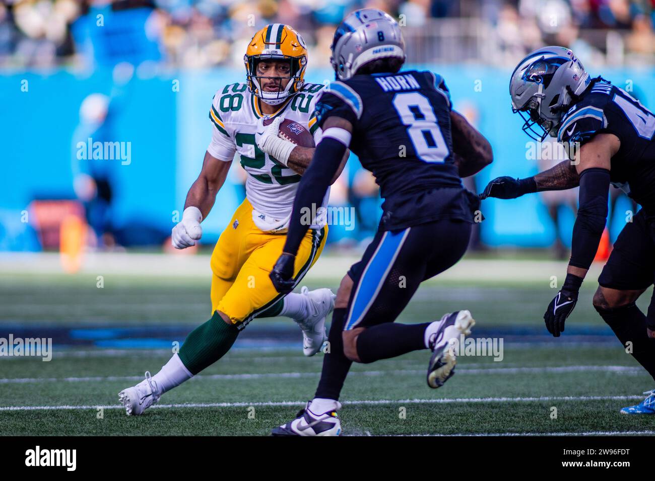 Charlotte, NC, USA. 24th Dec, 2023. Green Bay Packers tight end Joel ...