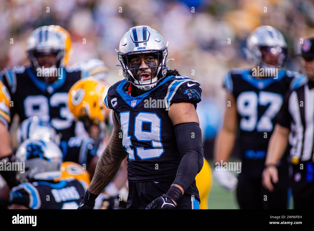 Frankie luvu carolina panthers hi-res stock photography and images - Alamy