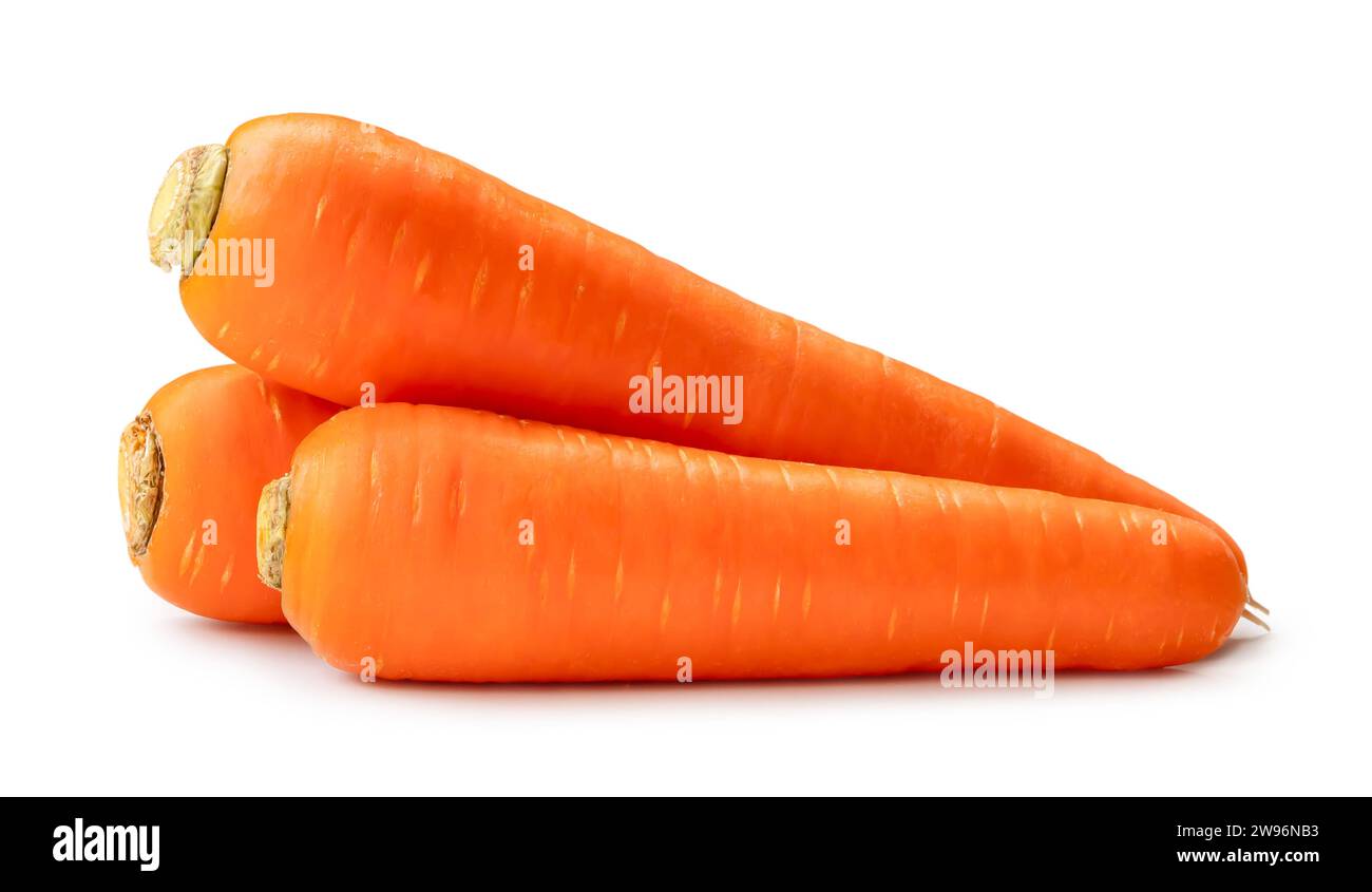 Three fresh beautiful orange carrots is isolated on white background ...