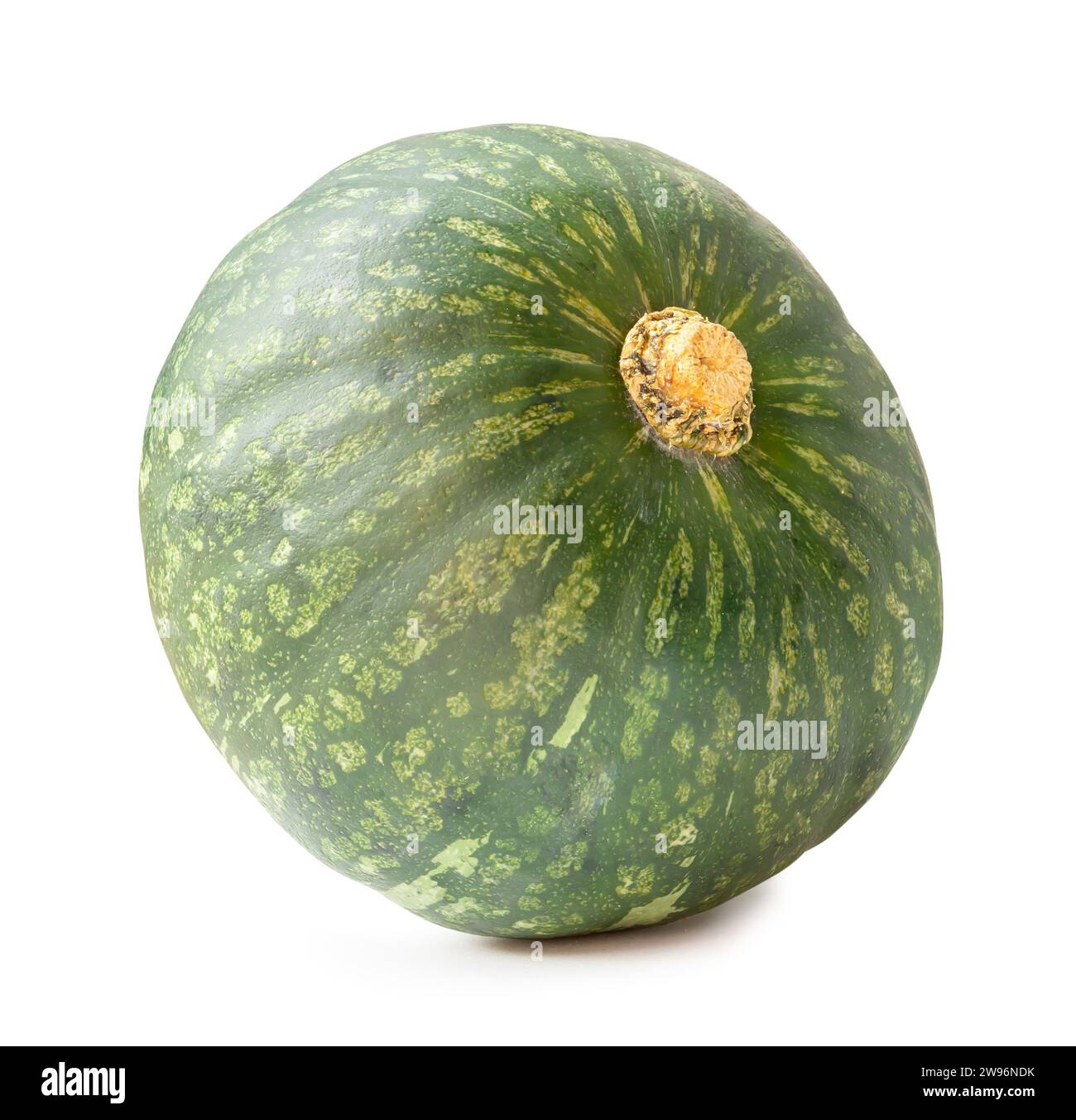 Front view of single fresh kabocha or green Japanese pumpkin is ...