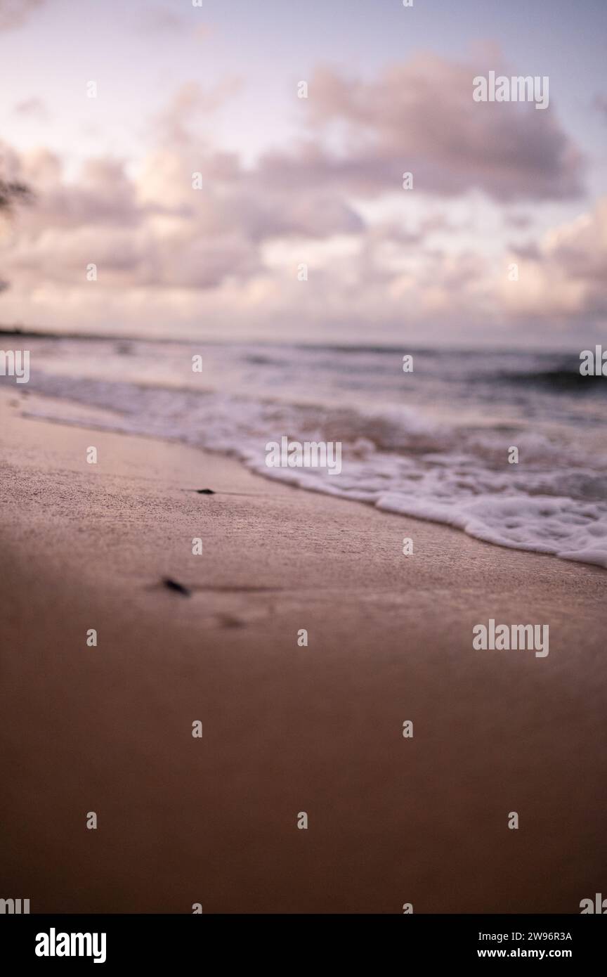 Waves on the Beach in Hawaii Stock Photo - Alamy