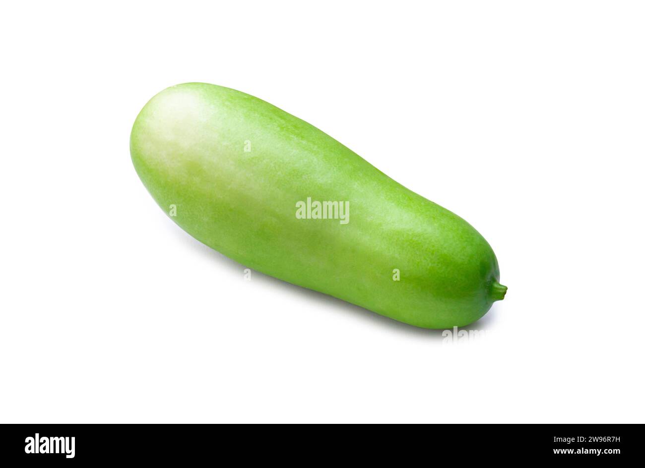 Topview photo of wax or white gourd is isolated on white background ...