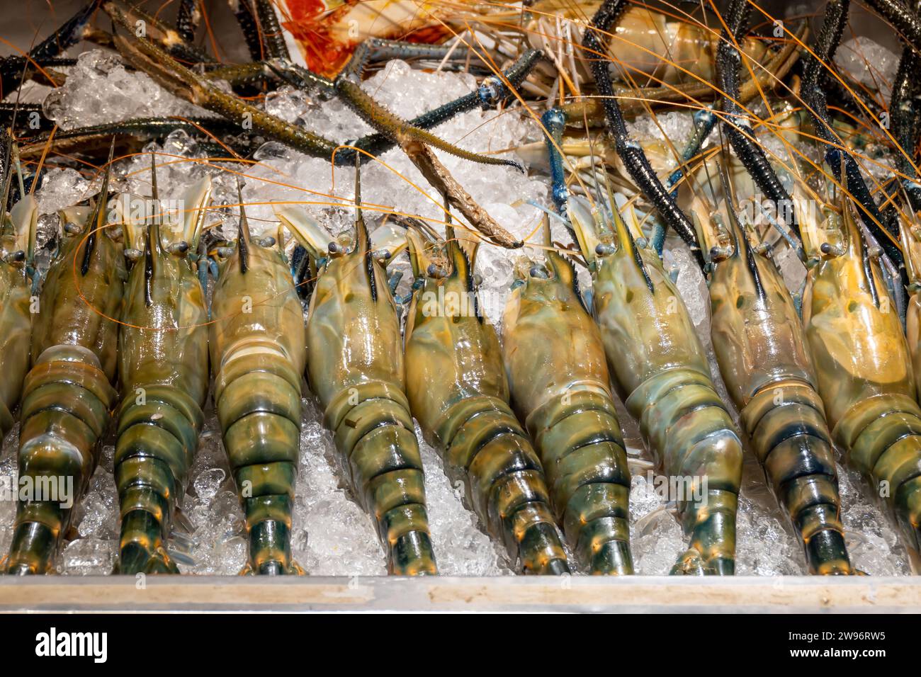 River shrimp sale in restaurant hi-res stock photography and images - Alamy