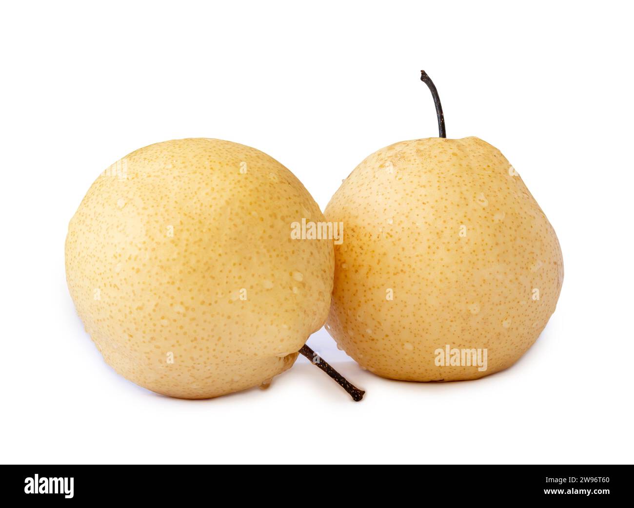 Two fresh yellow Chinese pears are isolated on white background with ...
