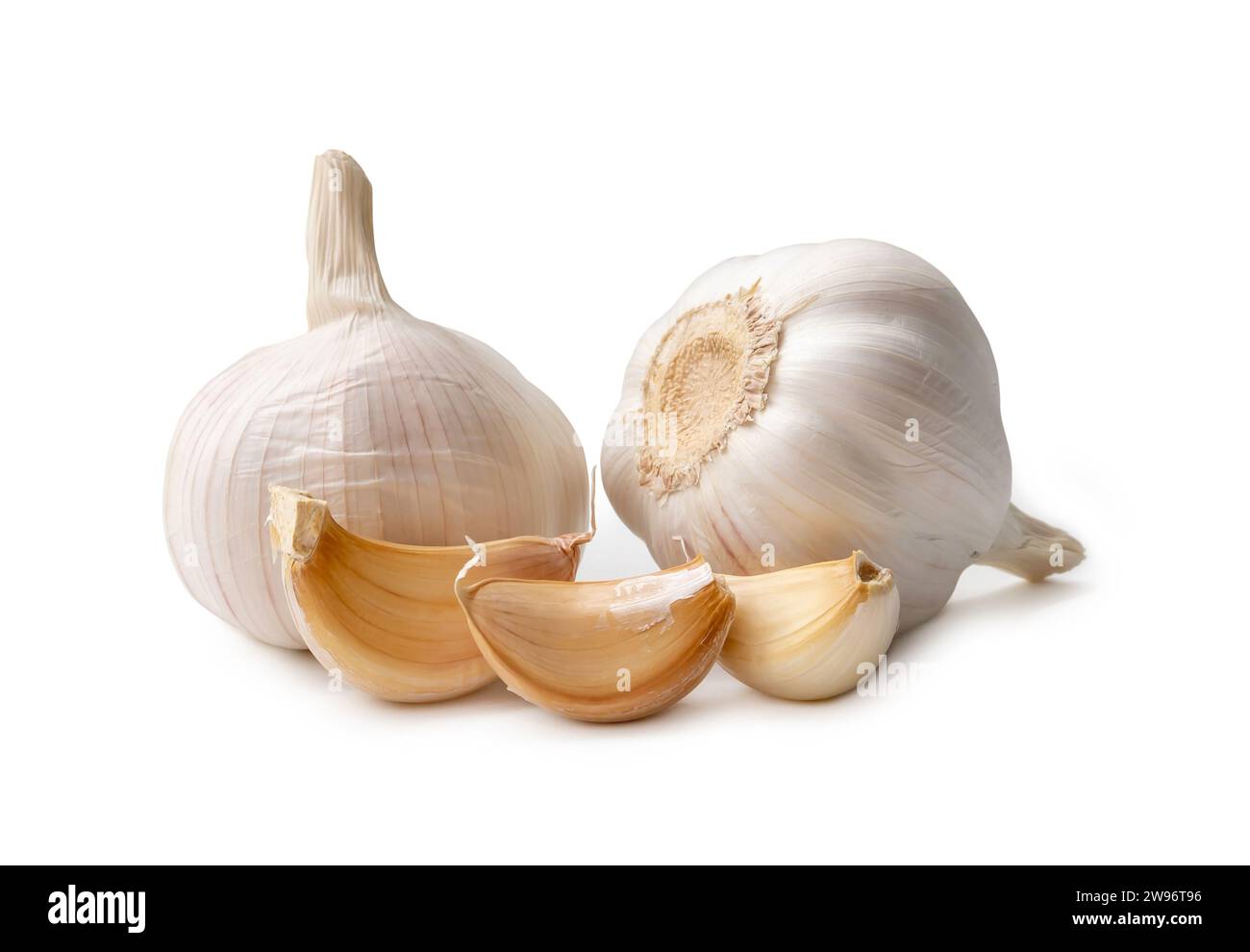 Single fresh white garlic bulb with segments is isolated on white ...