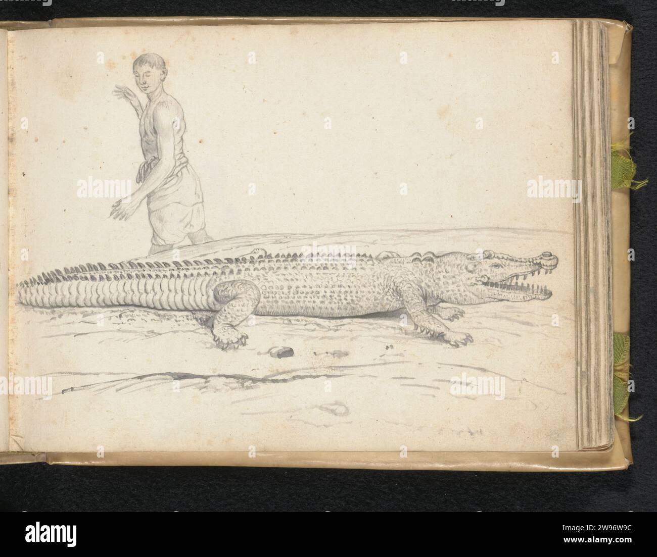 Sloping swamp hi-res stock photography and images - Alamy