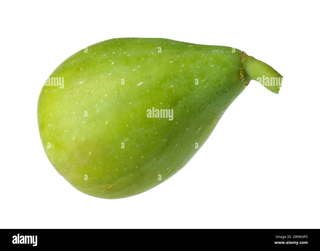 One fresh green fig isolated on white Stock Photo - Alamy