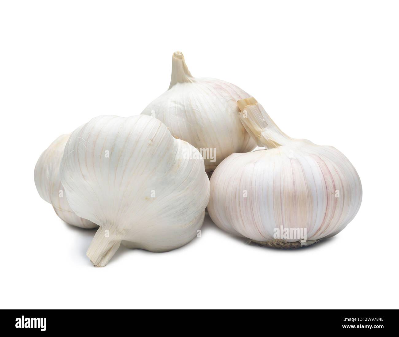 four fresh white garlic bulbs in stack are isolated on white background ...