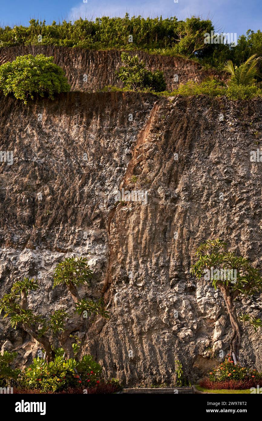 The background is a cut of a stone mountain with growths. The texture ...