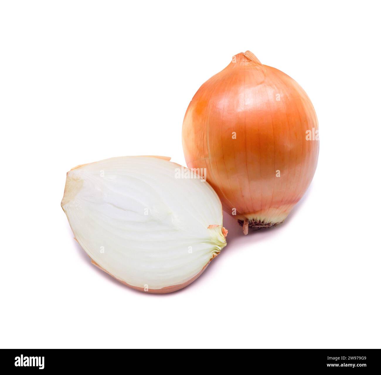 One fresh golden onion bulb with half or slice is isolated on white ...