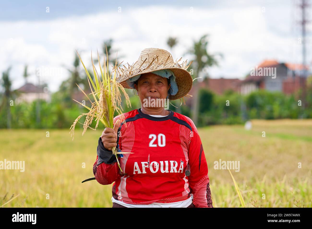 Man cutting grass at paddy field hi-res stock photography and images ...
