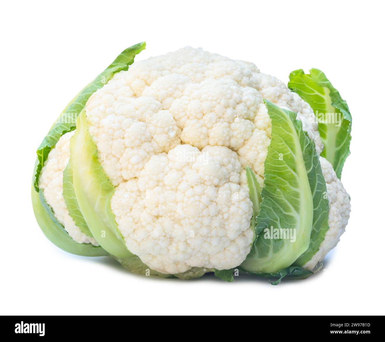 Close up of single fresh ripe white cauliflower head with some green ...