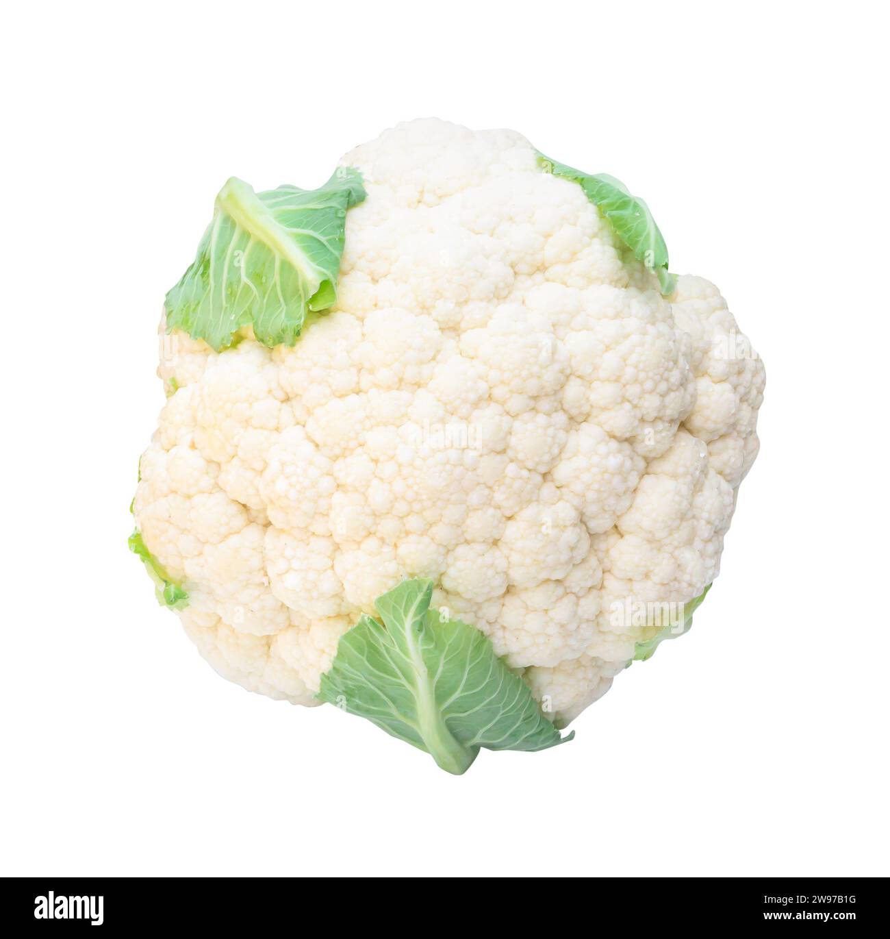 Close up of single fresh ripe white cauliflower head with some green ...