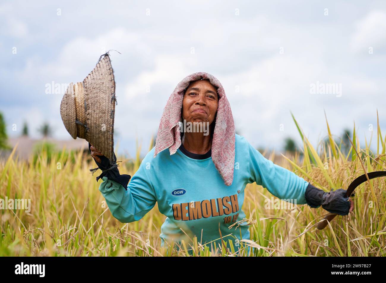 Man cutting grass at paddy field hi-res stock photography and images ...
