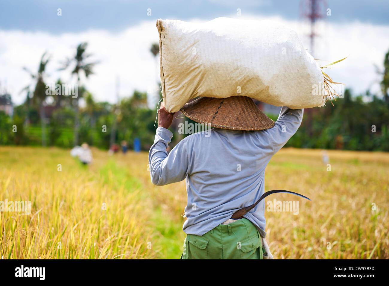 Straw rice bag hi-res stock photography and images - Alamy