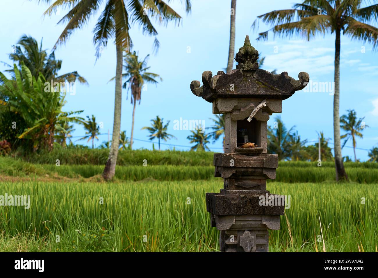 Bali making rice hi-res stock photography and images - Alamy